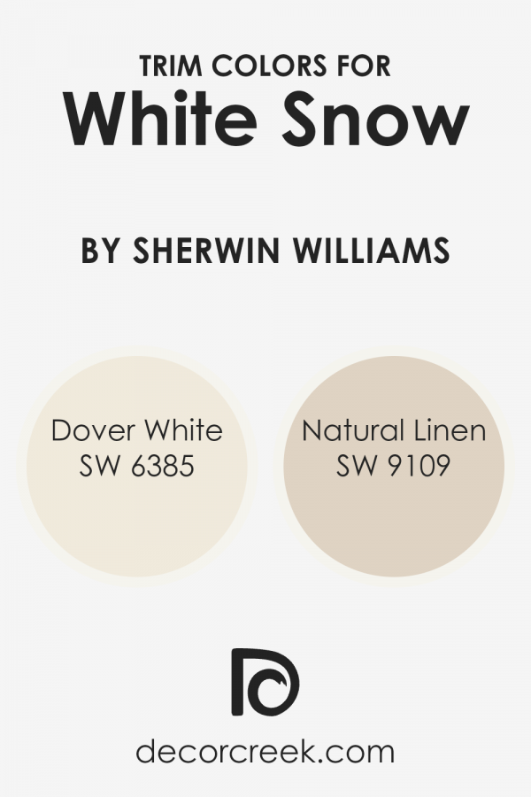 White Snow SW 9541 Paint Color by Sherwin Williams - DecorCreek