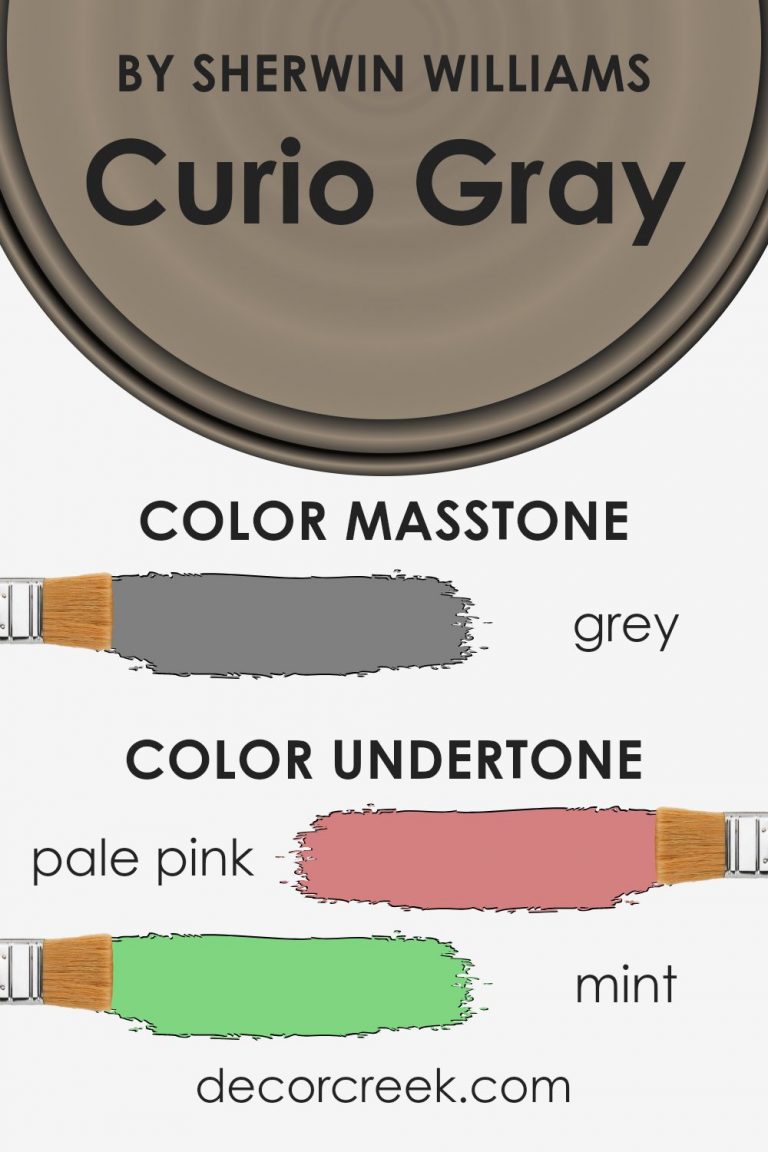 Curio Gray SW 0024 Paint Color by Sherwin Williams - DecorCreek