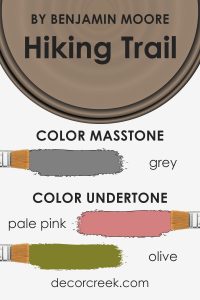 Hiking Trail CC-514 Paint Color by Benjamin Moore - DecorCreek
