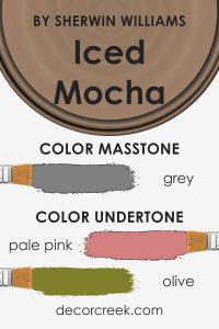 Iced Mocha SW 9092 Paint Color by Sherwin Williams - DecorCreek