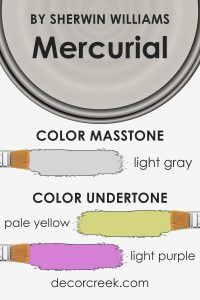Mercurial SW 9550 Paint Color by Sherwin Williams - DecorCreek