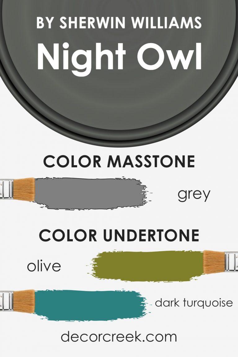 Night Owl SW 7061 Paint Color by Sherwin Williams - DecorCreek
