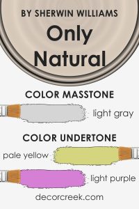 Only Natural SW 7596 Paint Color by Sherwin Williams - DecorCreek