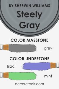 Steely Gray SW 7664 Paint Color by Sherwin Williams - DecorCreek