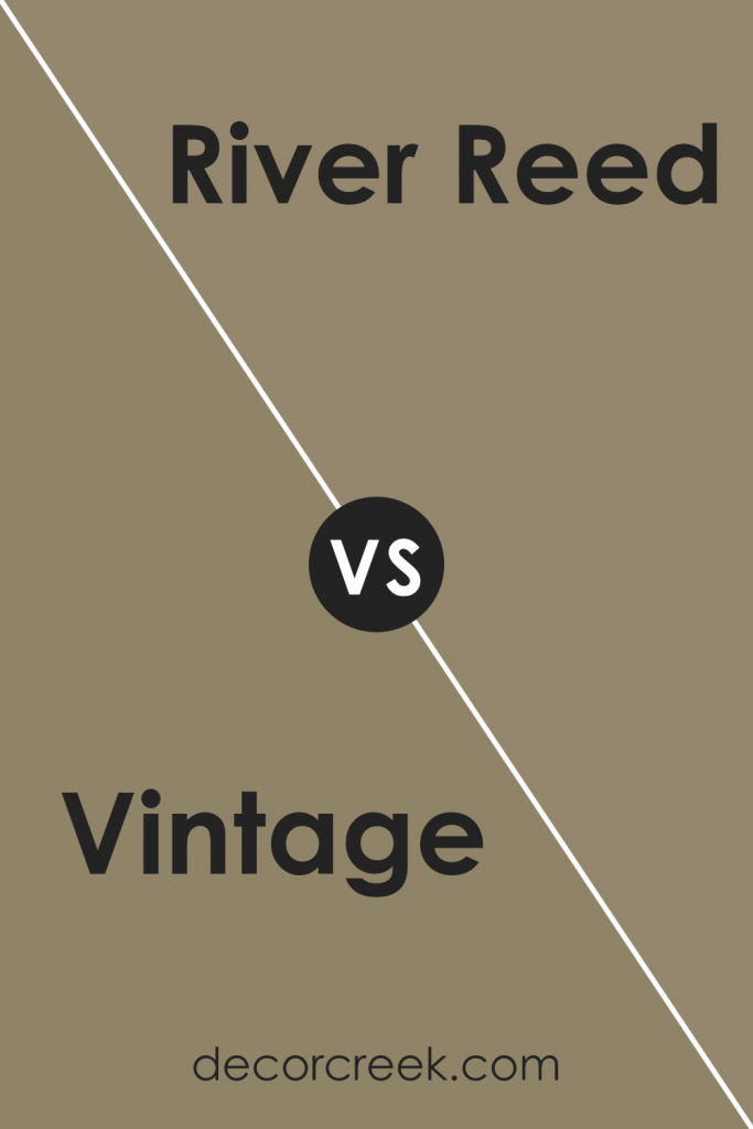 Vintage SW 9528 Paint Color by Sherwin Williams - DecorCreek