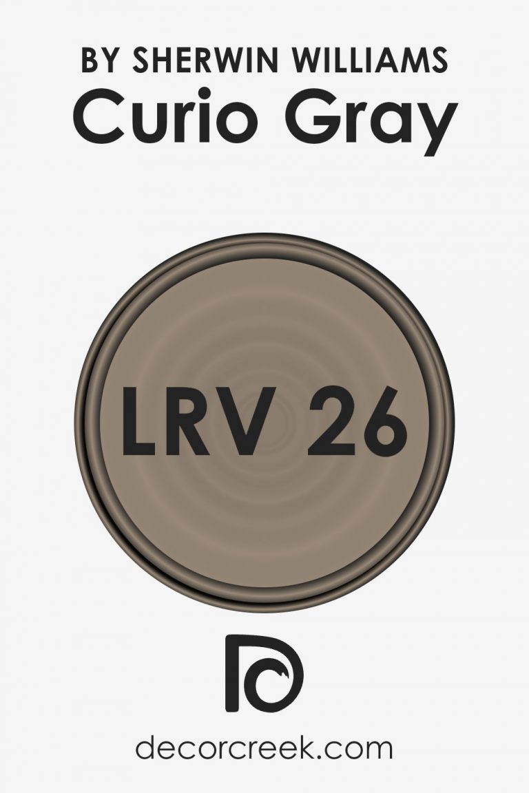 Curio Gray SW 0024 Paint Color by Sherwin Williams - DecorCreek