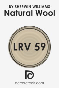 Natural Wool SW 9508 Paint Color by Sherwin Williams - DecorCreek