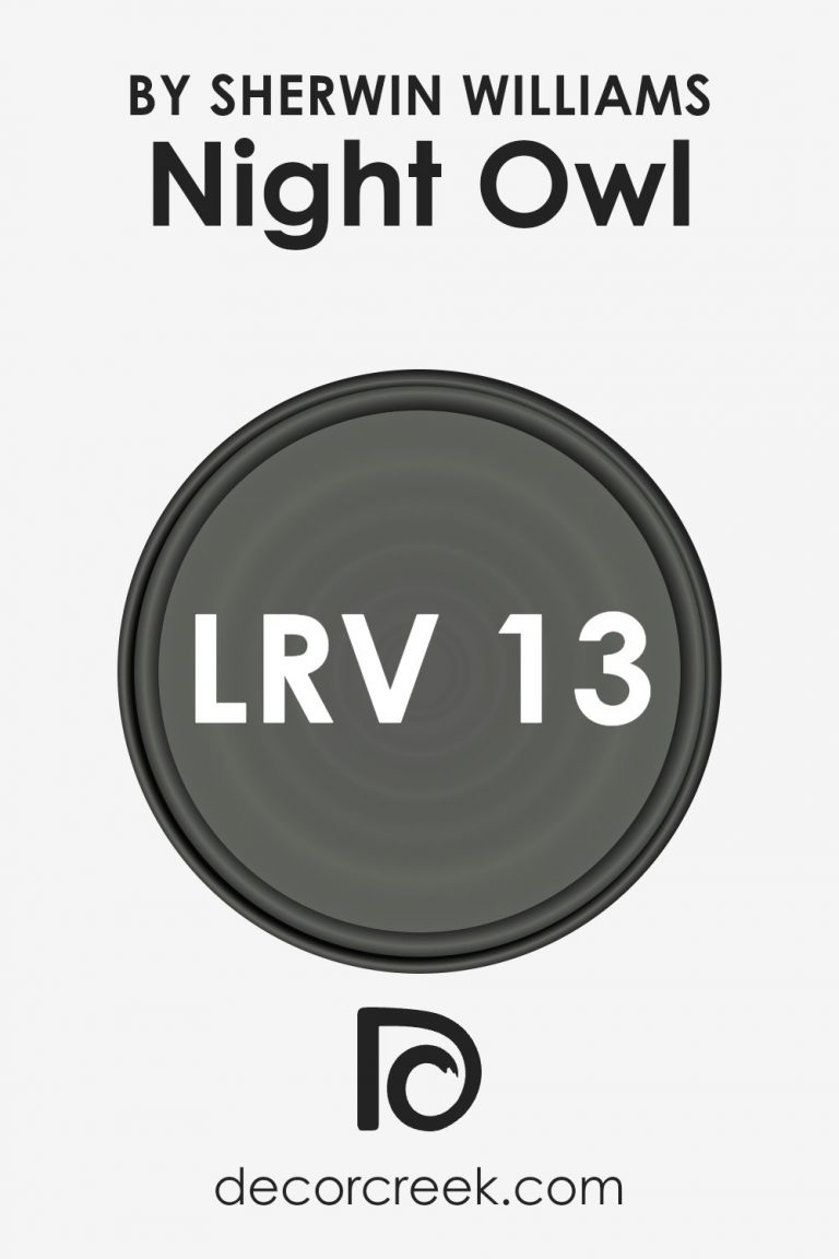 Night Owl SW 7061 Paint Color by Sherwin Williams - DecorCreek