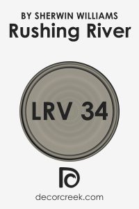 Rushing River SW 7746 Paint Color by Sherwin Williams - DecorCreek