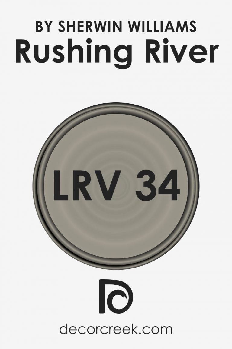Rushing River SW 7746 Paint Color by Sherwin Williams - DecorCreek