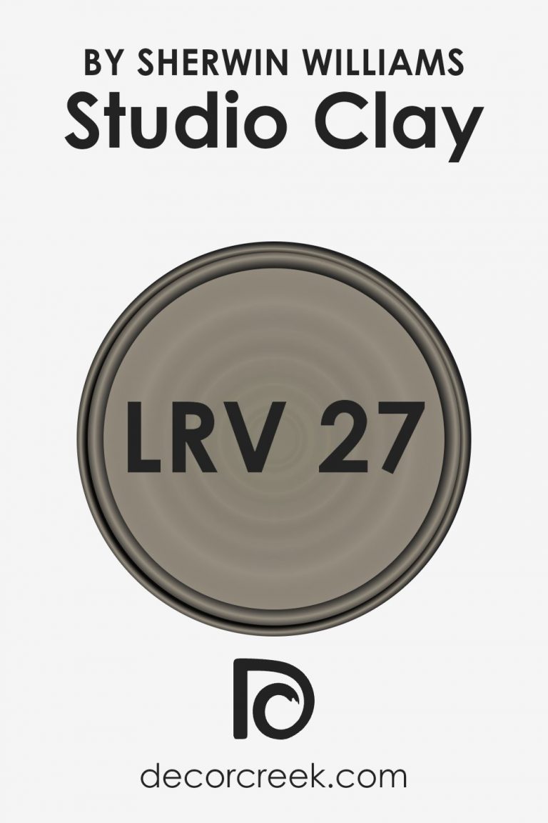 Studio Clay SW 9172 Paint Color by Sherwin Williams - DecorCreek