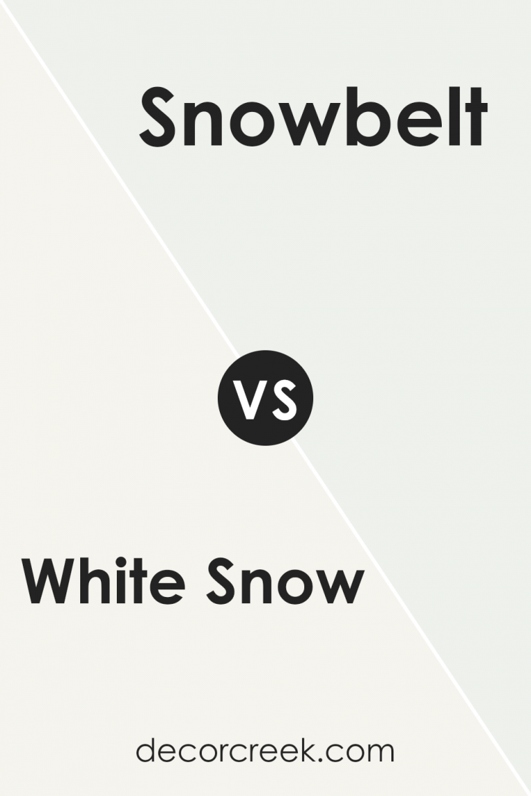 White Snow SW 9541 Paint Color by Sherwin Williams - DecorCreek