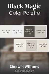Black Magic SW 6991 Paint Color by Sherwin Williams - DecorCreek