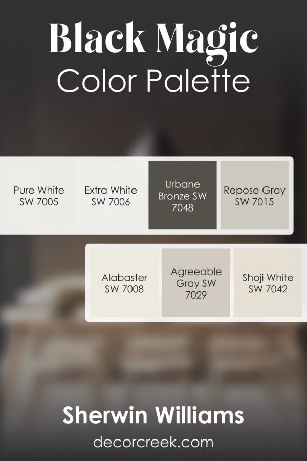 Black Magic SW 6991 Paint Color by Sherwin Williams - DecorCreek