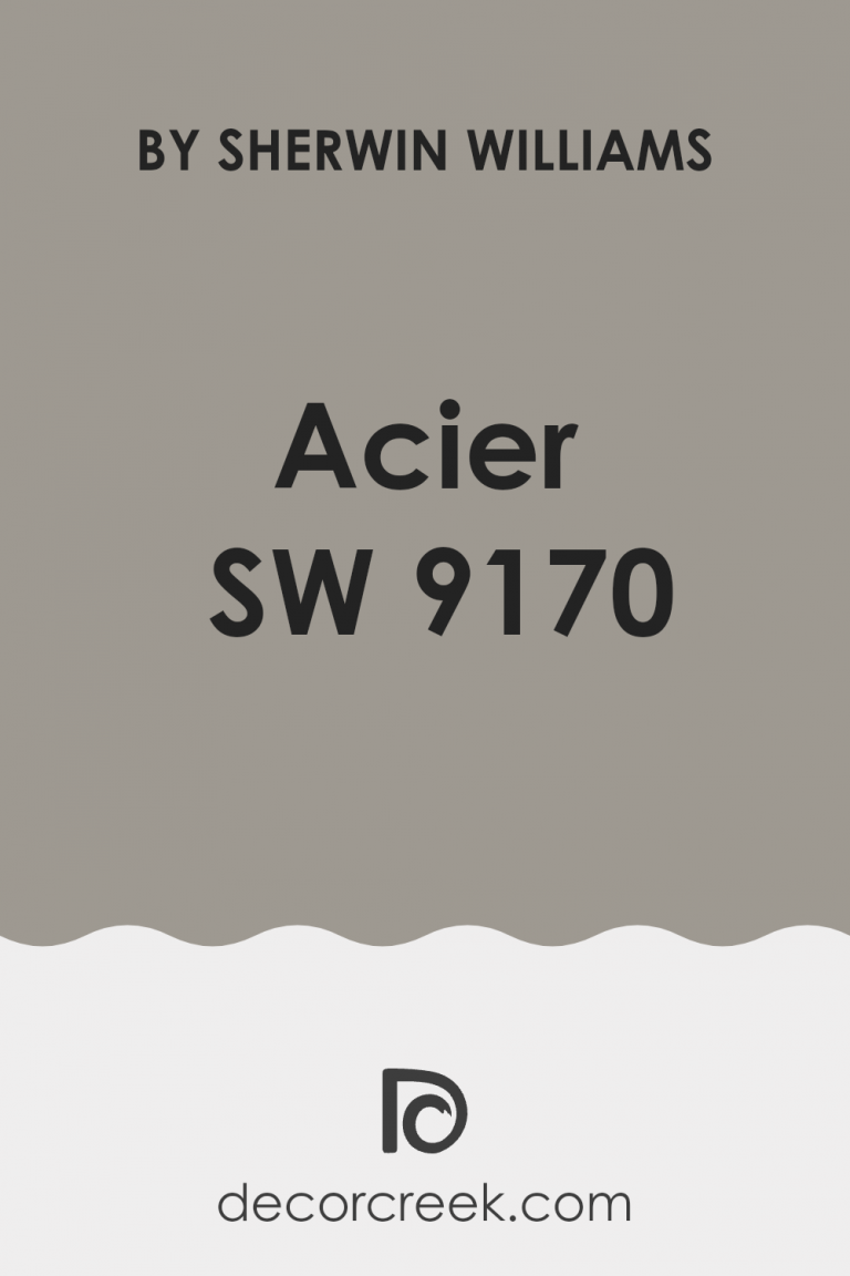 Acier SW 9170 Paint Color by Sherwin Williams - DecorCreek