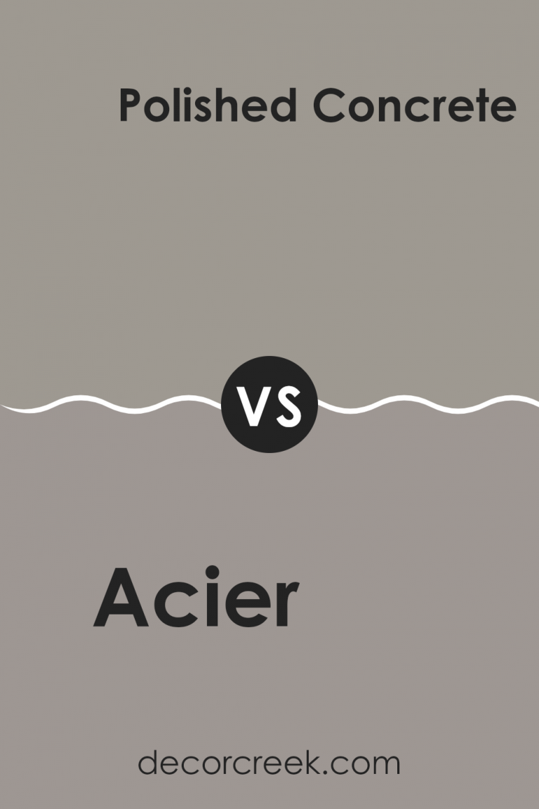 Acier SW 9170 Paint Color by Sherwin Williams - DecorCreek