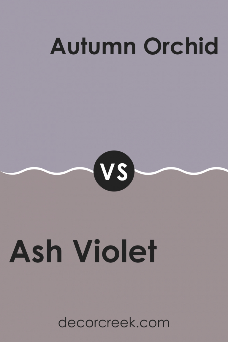 Ash Violet SW 6549 Paint Color by Sherwin Williams - DecorCreek