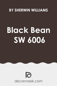 Black Bean SW 6006 Paint Color by Sherwin Williams - DecorCreek