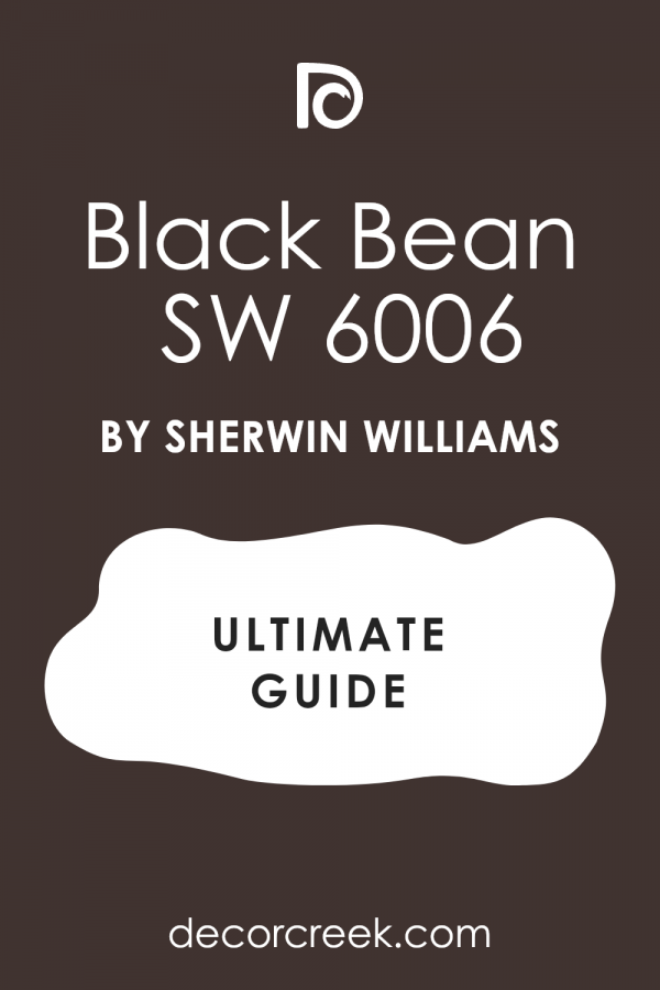 Black Bean SW 6006 Paint Color by Sherwin Williams - DecorCreek