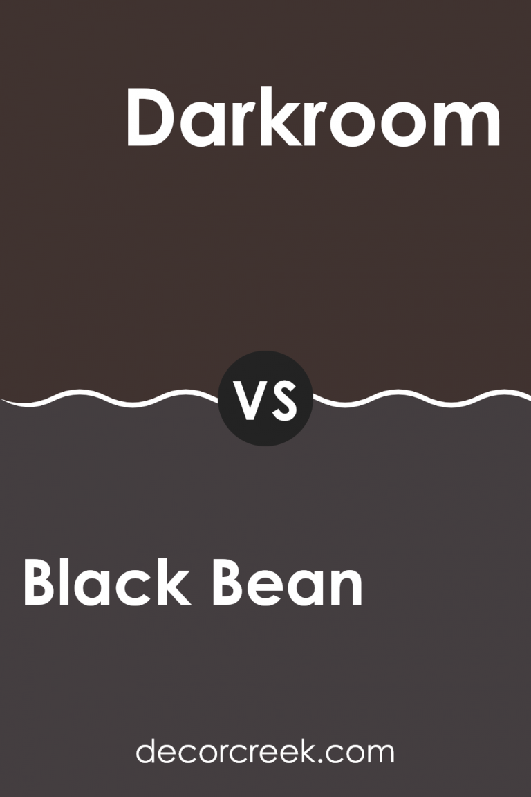 Black Bean SW 6006 Paint Color by Sherwin Williams - DecorCreek