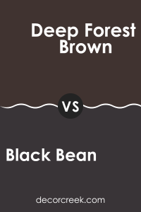 Black Bean SW 6006 Paint Color by Sherwin Williams - DecorCreek