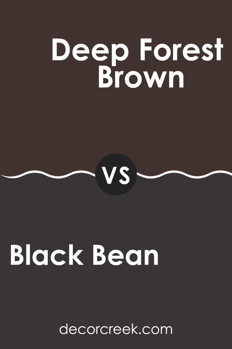 Black Bean SW 6006 Paint Color by Sherwin Williams - DecorCreek