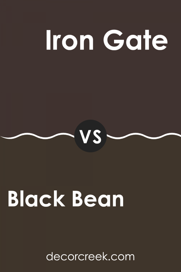 Black Bean SW 6006 Paint Color by Sherwin Williams - DecorCreek