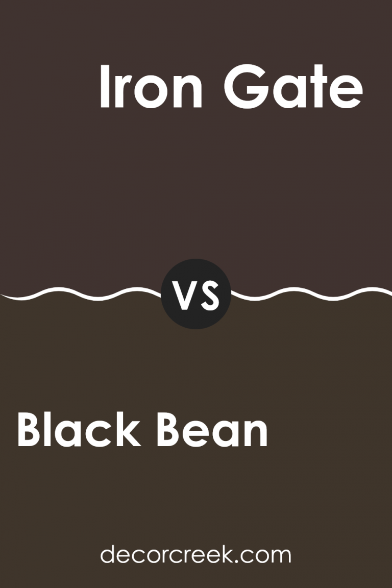 Black Bean SW 6006 Paint Color by Sherwin Williams - DecorCreek