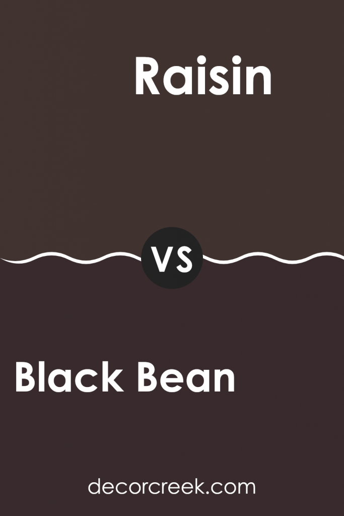 Black Bean SW 6006 Paint Color by Sherwin Williams - DecorCreek