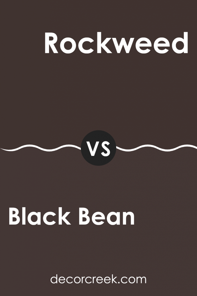 Black Bean SW 6006 Paint Color by Sherwin Williams - DecorCreek