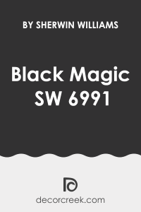 Black Magic SW 6991 Paint Color by Sherwin Williams - DecorCreek