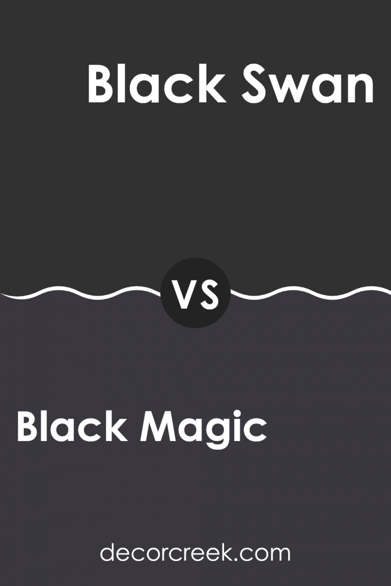 Black Magic SW 6991 Paint Color by Sherwin Williams - DecorCreek