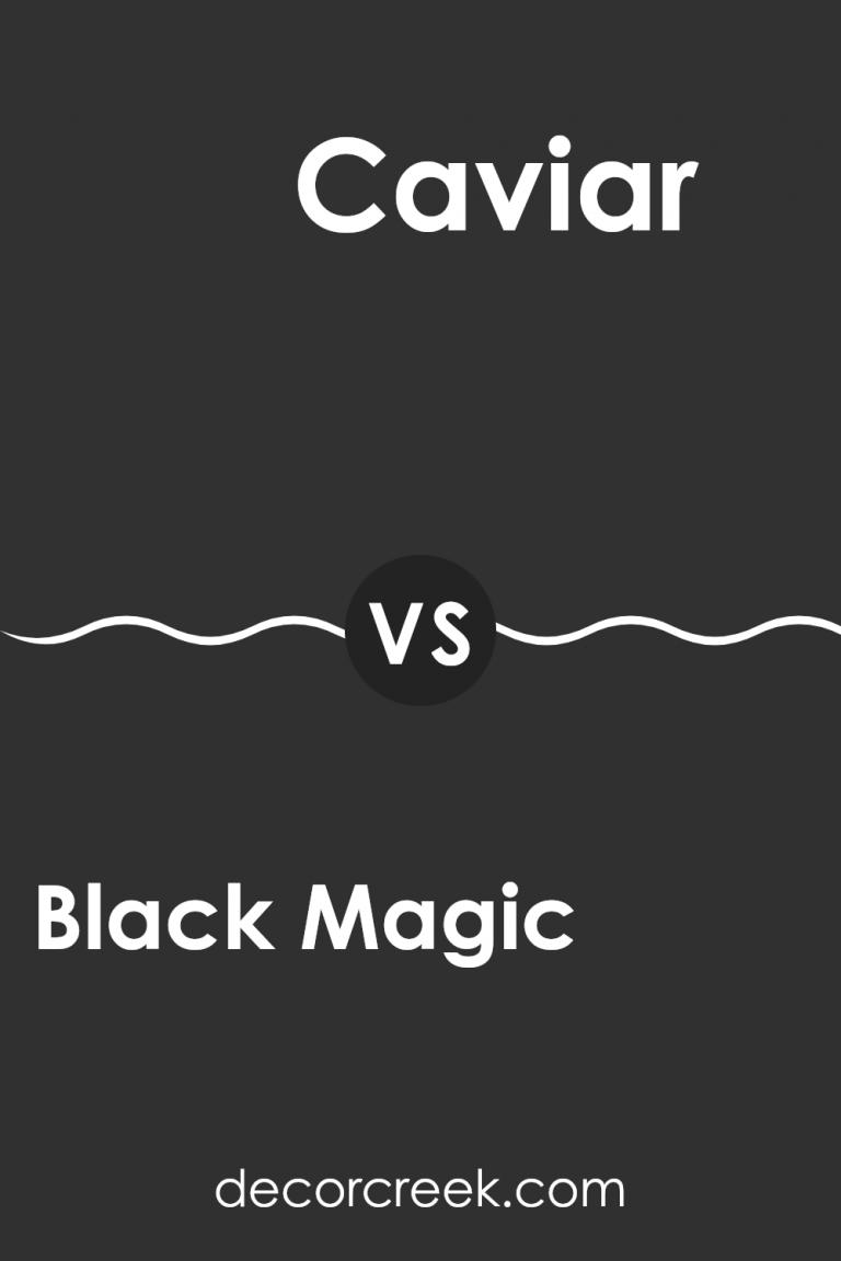 Black Magic SW 6991 Paint Color by Sherwin Williams - DecorCreek