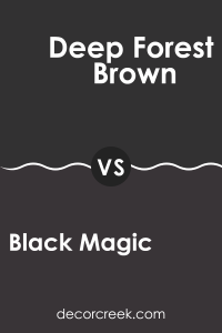 Black Magic SW 6991 Paint Color by Sherwin Williams - DecorCreek