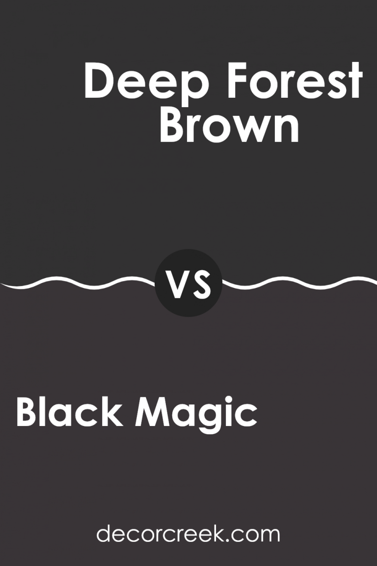 Black Magic SW 6991 Paint Color by Sherwin Williams - DecorCreek