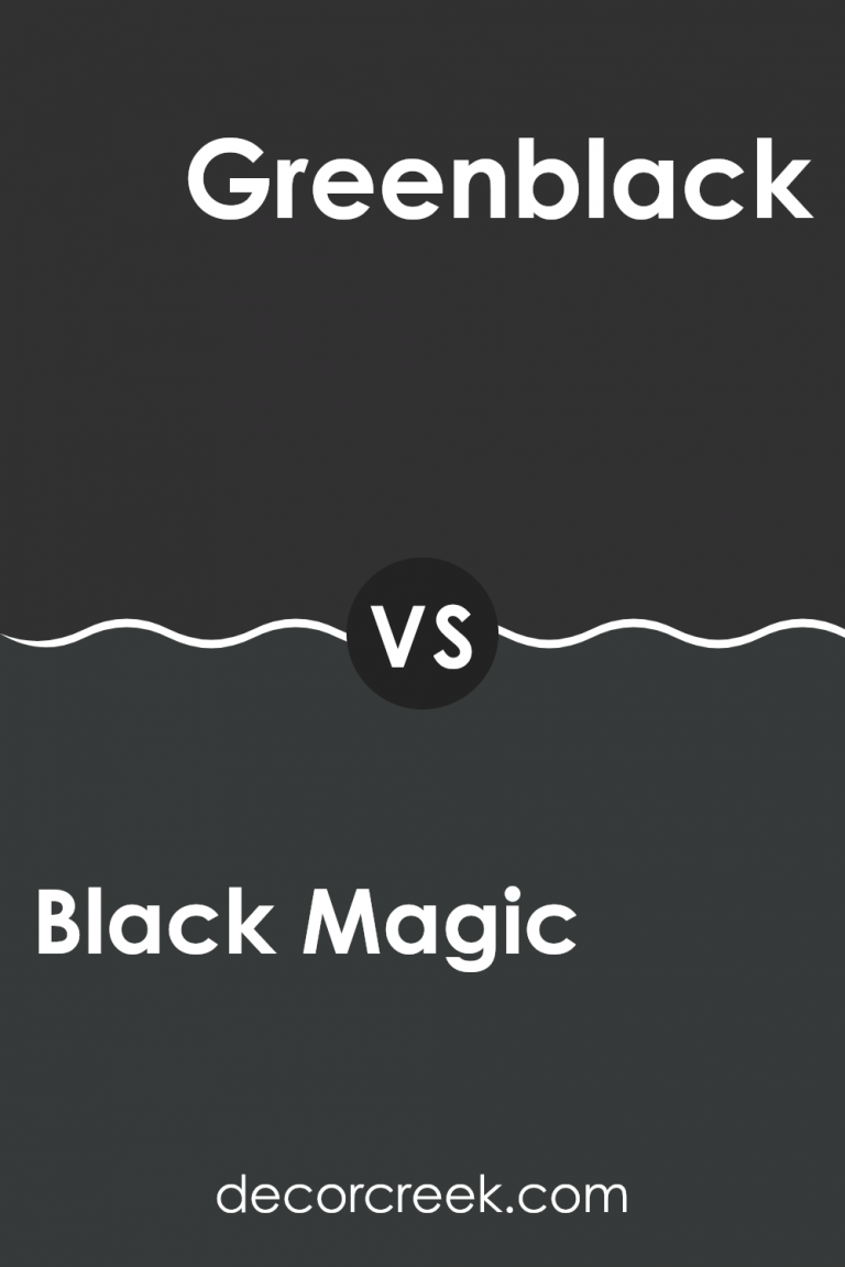 Black Magic SW 6991 Paint Color by Sherwin Williams - DecorCreek