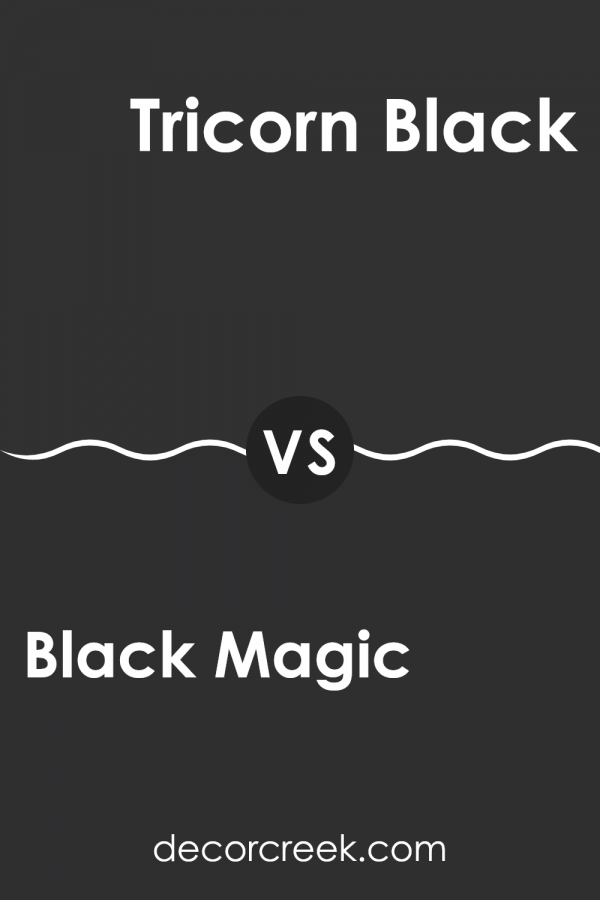 Black Magic SW 6991 Paint Color by Sherwin Williams - DecorCreek