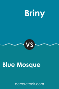 Blue Mosque SW 6789 Paint Color by Sherwin Williams - DecorCreek