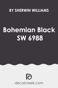 Bohemian Black SW 6988 Paint Color by Sherwin Williams - DecorCreek