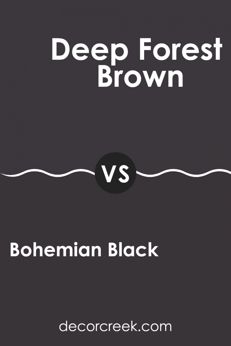 Bohemian Black SW 6988 Paint Color by Sherwin Williams - DecorCreek