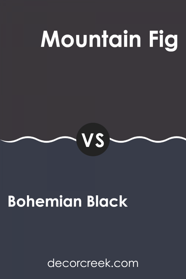 Bohemian Black SW 6988 Paint Color by Sherwin Williams - DecorCreek