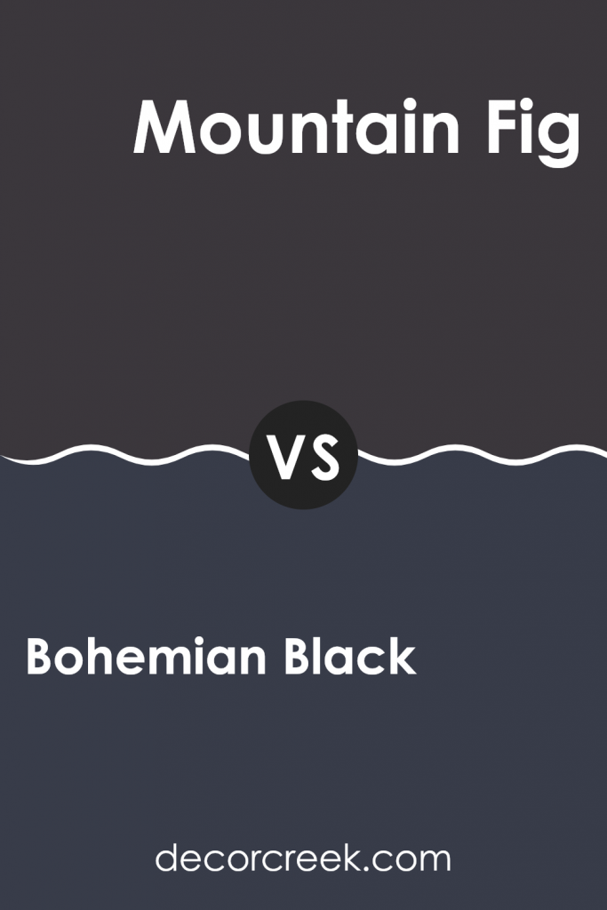 Bohemian Black SW 6988 Paint Color by Sherwin Williams - DecorCreek