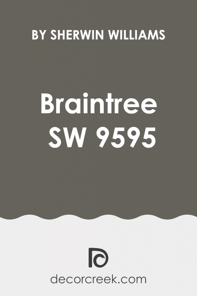 Braintree SW 9595 Paint Color by Sherwin Williams - DecorCreek