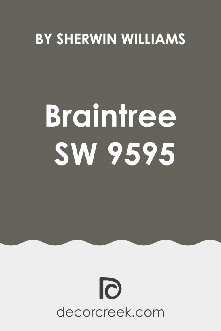 Braintree SW 9595 Paint Color by Sherwin Williams - DecorCreek
