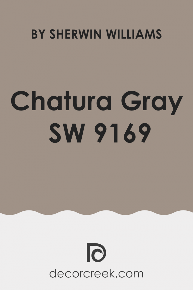 Chatura Gray SW 9169 Paint Color by Sherwin Williams - DecorCreek