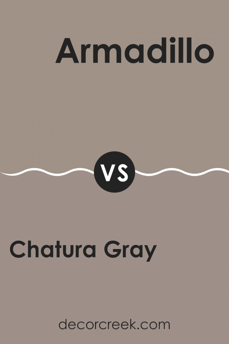 Chatura Gray SW 9169 Paint Color by Sherwin Williams - DecorCreek