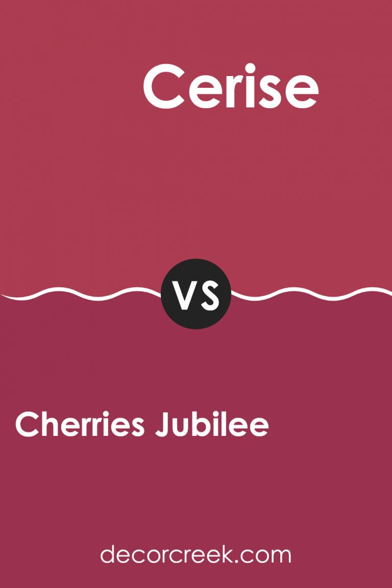 Cherries Jubilee SW 6862 Paint Color by Sherwin Williams - DecorCreek