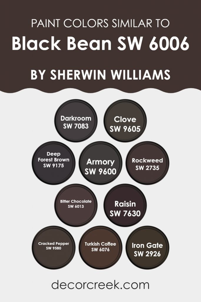 Black Bean SW 6006 Paint Color by Sherwin Williams - DecorCreek