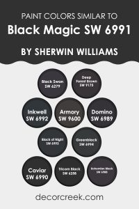 Black Magic SW 6991 Paint Color by Sherwin Williams - DecorCreek