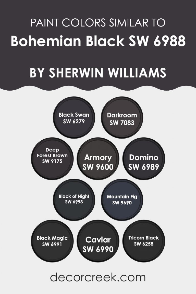 Bohemian Black SW 6988 Paint Color by Sherwin Williams - DecorCreek